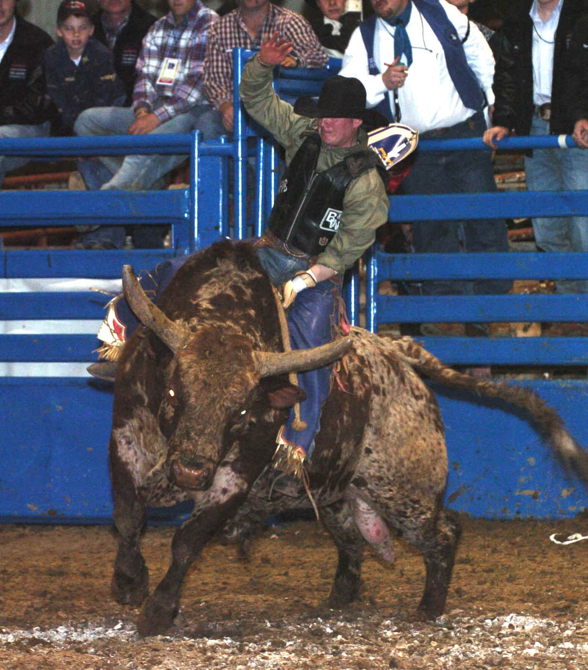 Curt Check - 2004 Federation Cup Champion